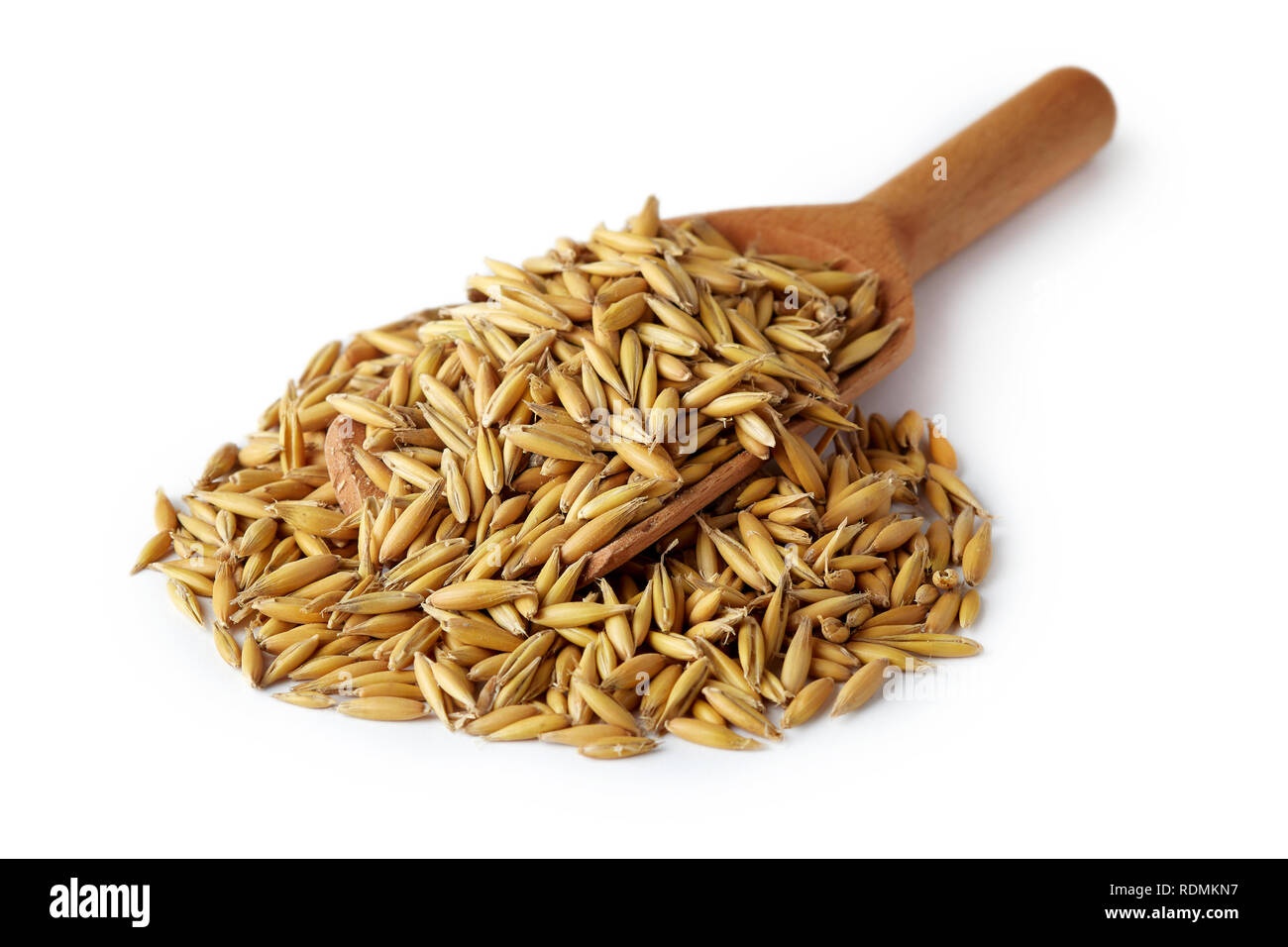 Oat seeds (Avena sativa) also known as the common oat in wooden scoop ...