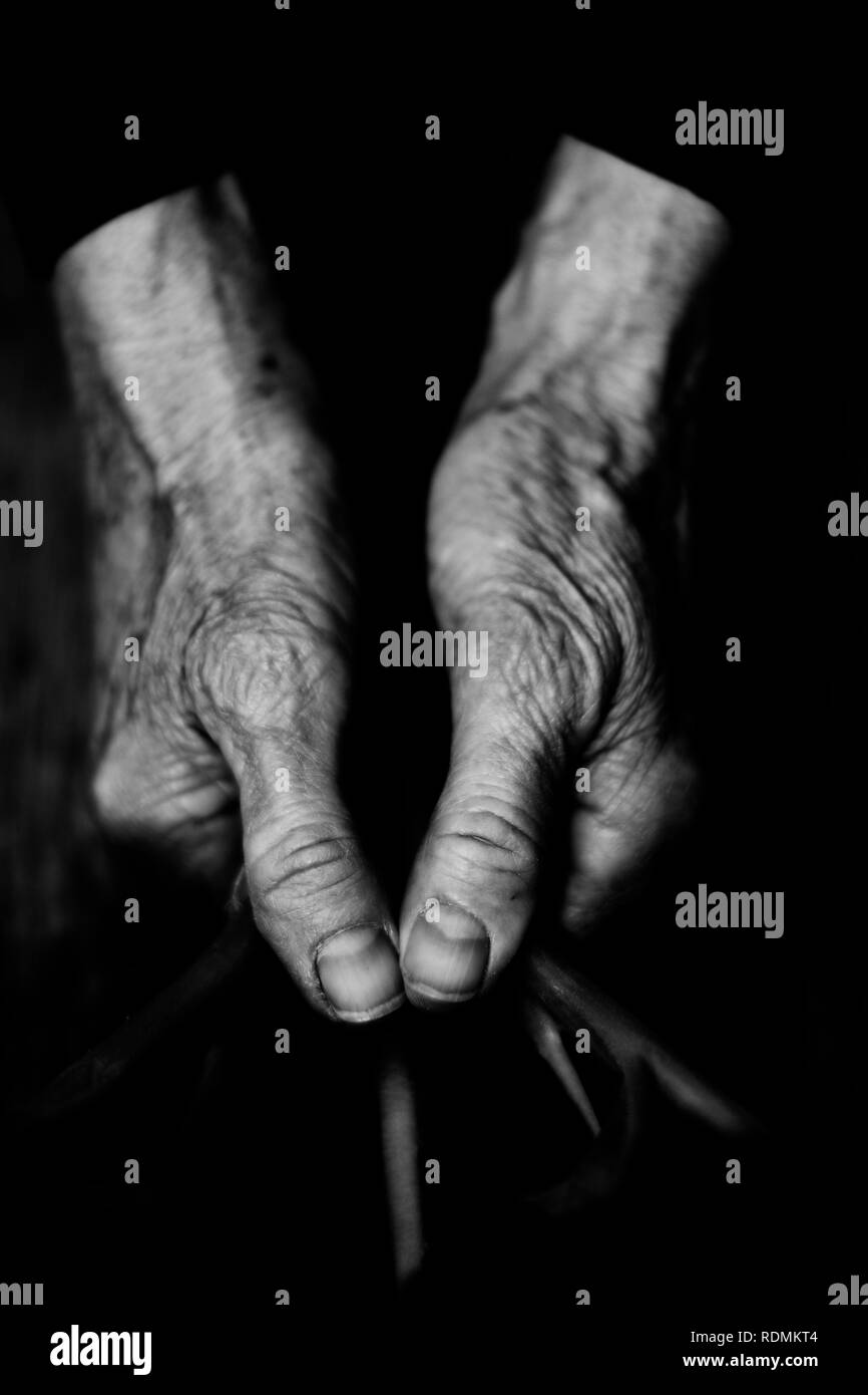 Close up hands senior old Black and White Stock Photos & Images - Alamy