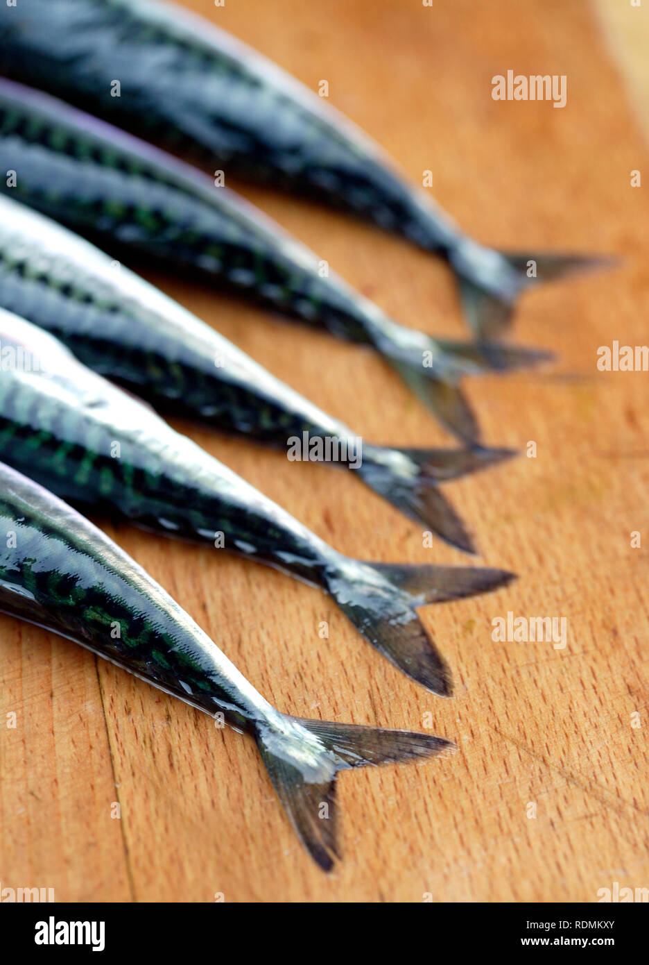 Mackerel color hi-res stock photography and images - Alamy