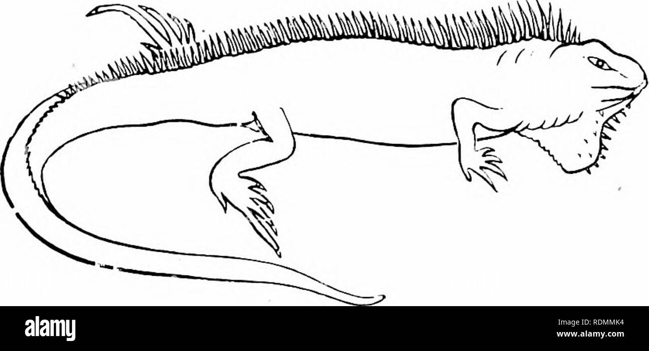 Kinged hi-res stock photography and images - Alamy