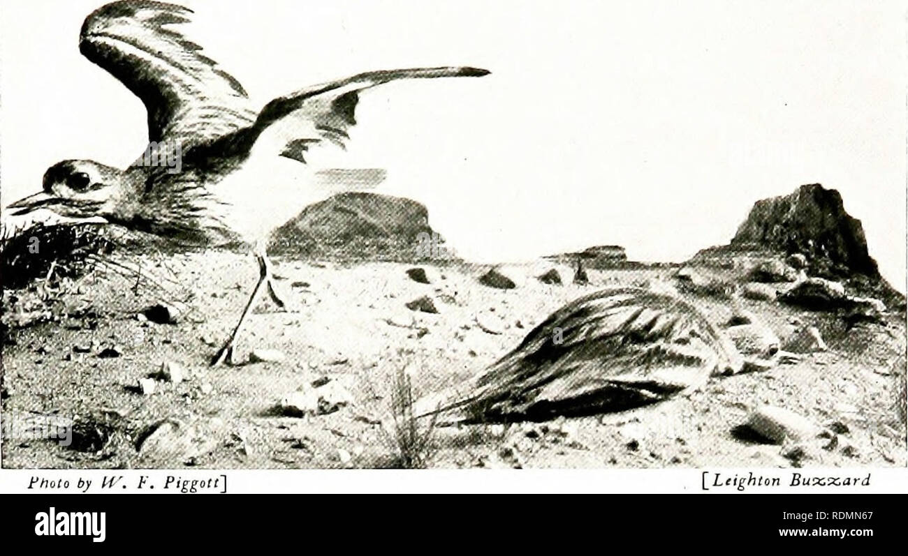 H s crouching hi-res stock photography and images - Alamy