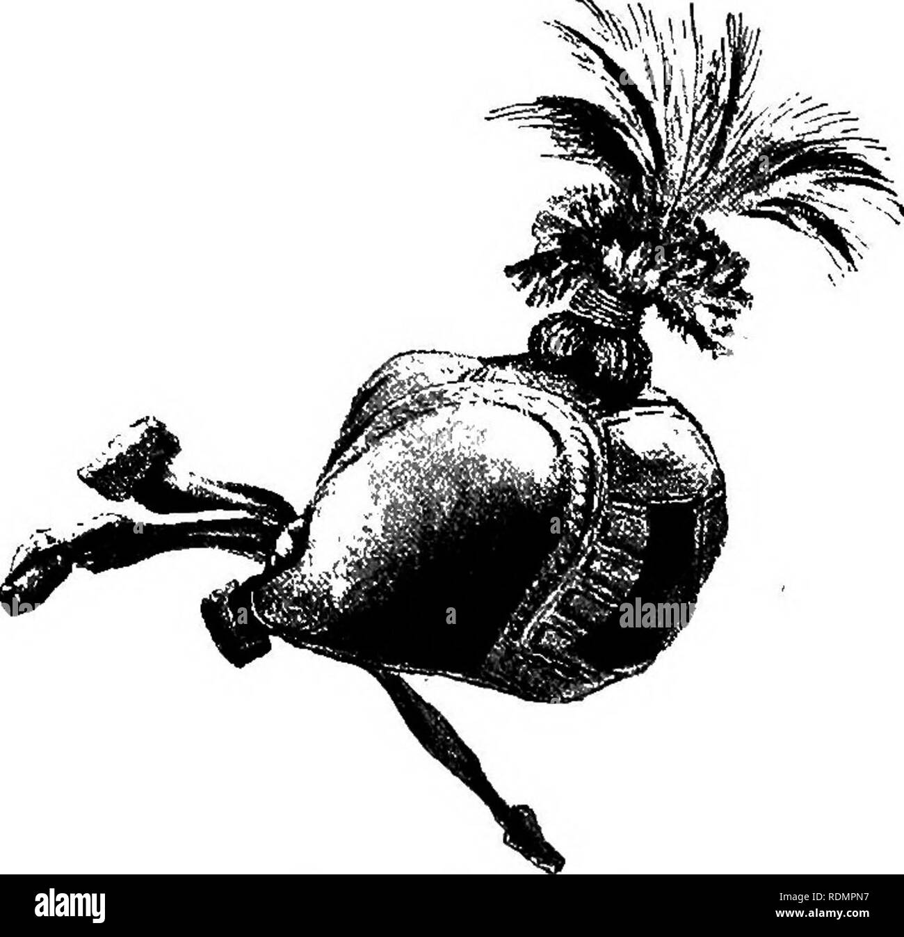 Tf falcon Black and White Stock Photos & Images - Alamy