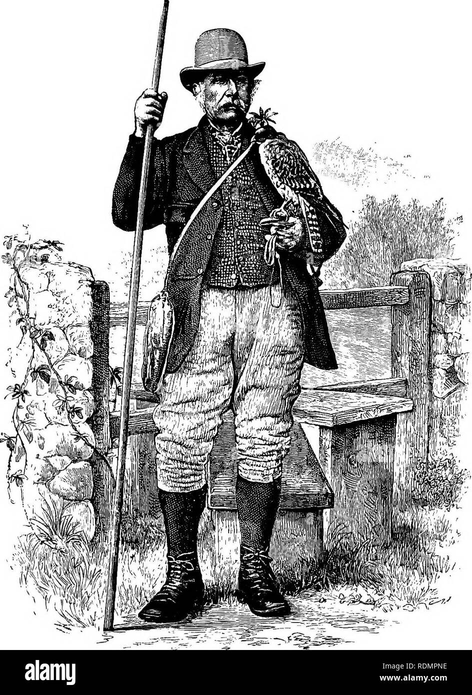 Edward lascelles hi-res stock photography and images - Alamy