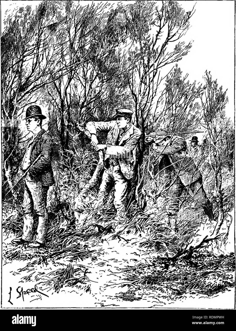 Edward lascelles hi-res stock photography and images - Alamy