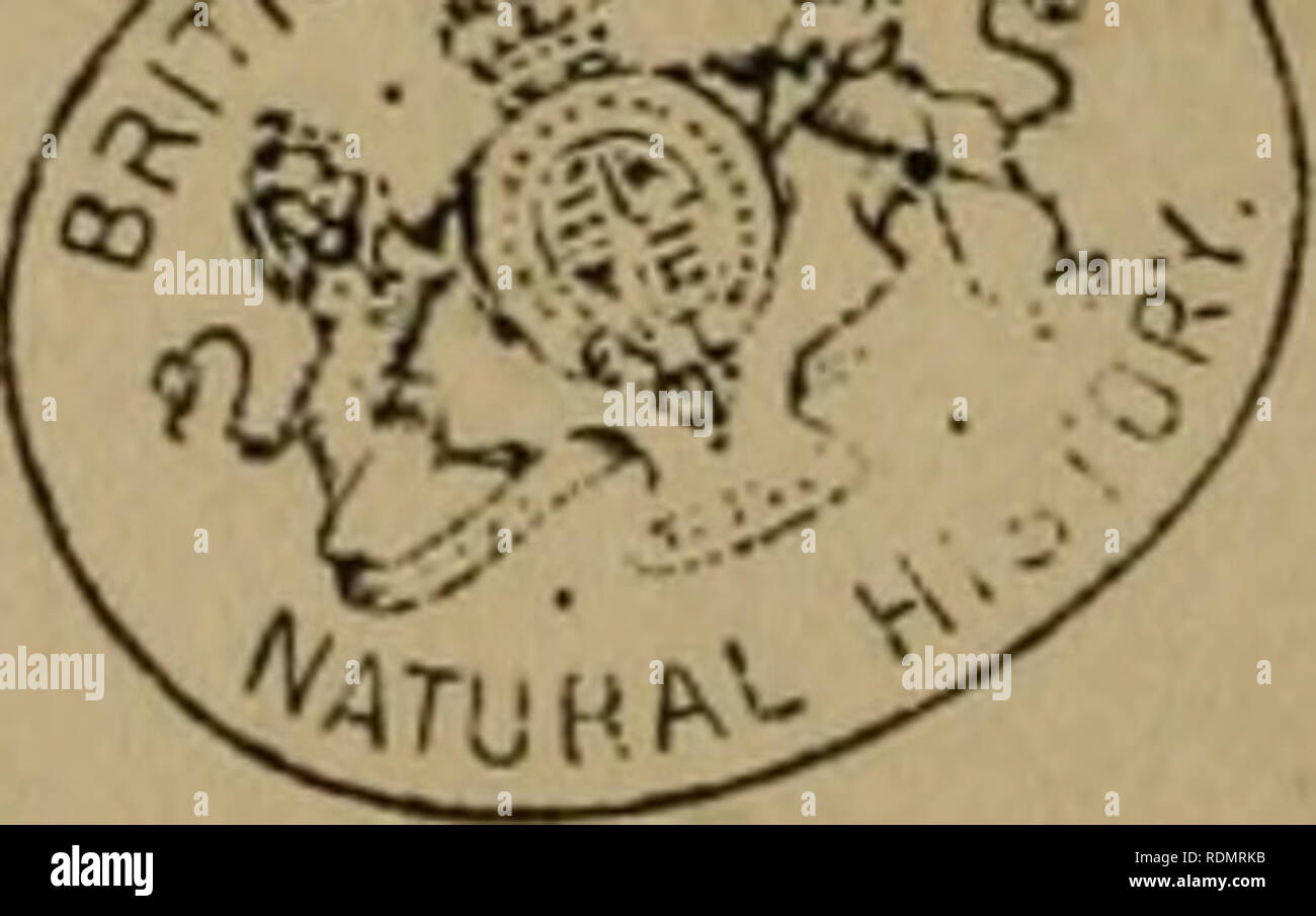 William kenworthy hi-res stock photography and images - Alamy