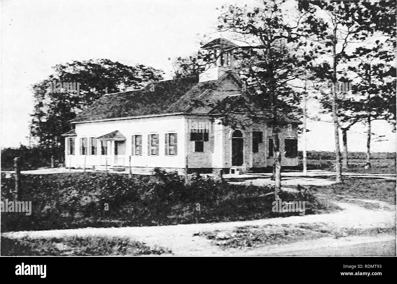 Forlorn elm hi-res stock photography and images - Alamy