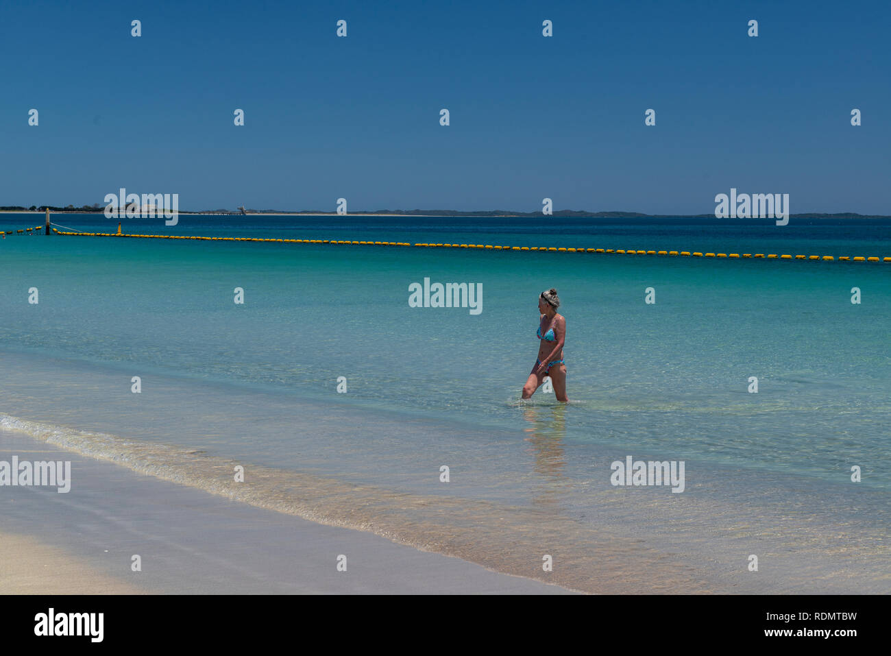 Shark net beach hi-res stock photography and images - Alamy