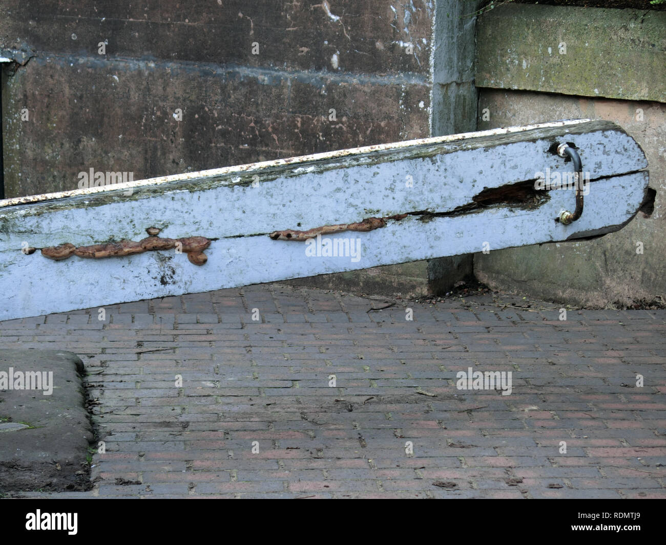 Rotten Canal Lock Arm Gates Showing Fungal Fruiting Bodies ...
