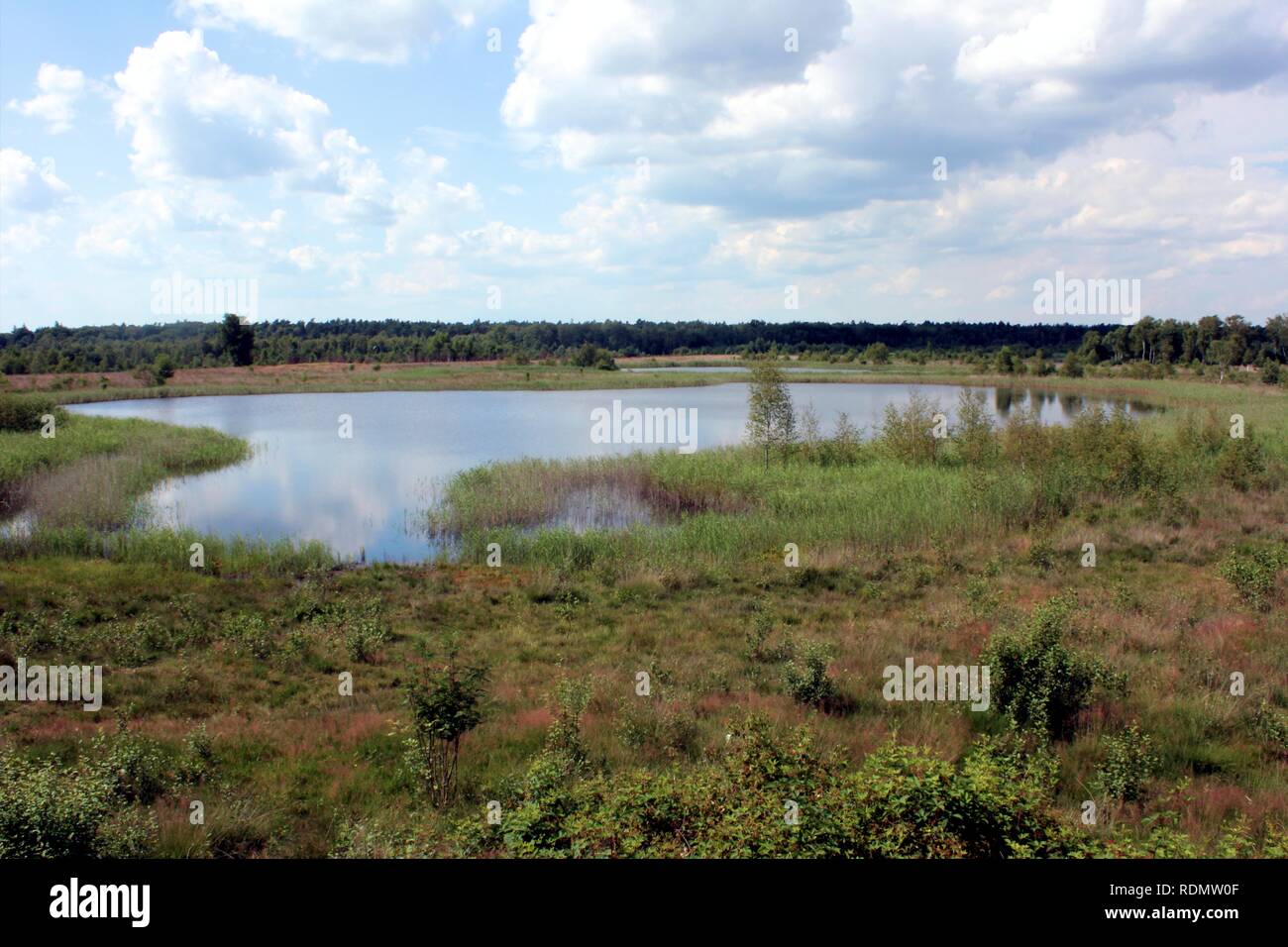 Offene vegetation hi-res stock photography and images - Alamy