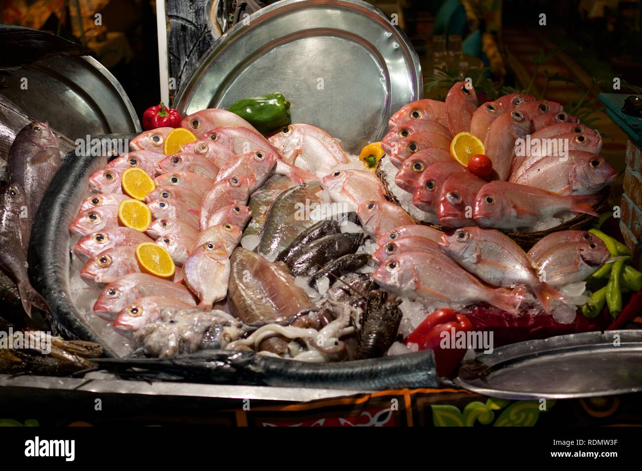 Egyptian restaurant hi-res stock photography and images - Alamy