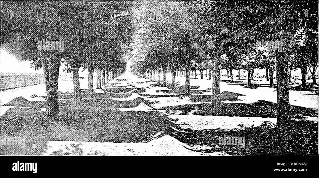 Citrus orchard basin hi-res stock photography and images - Alamy