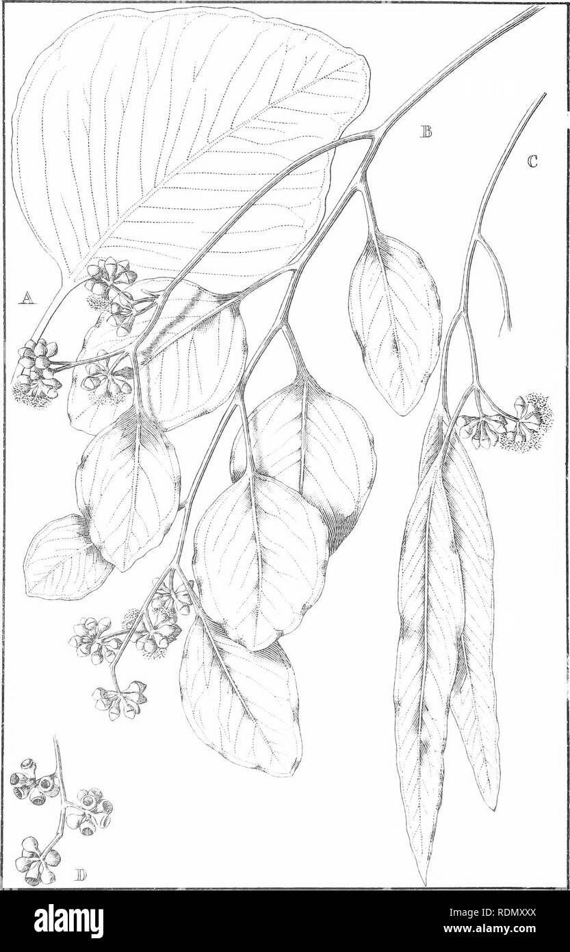 South hook Black and White Stock Photos & Images - Alamy