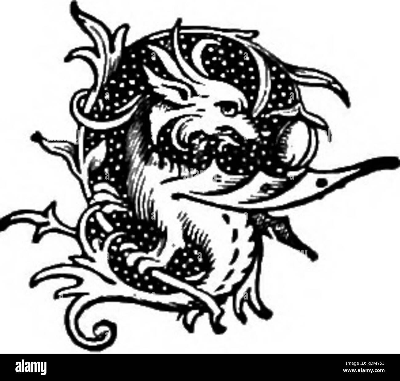 Six hundred seventy eight Black and White Stock Photos & Images - Alamy