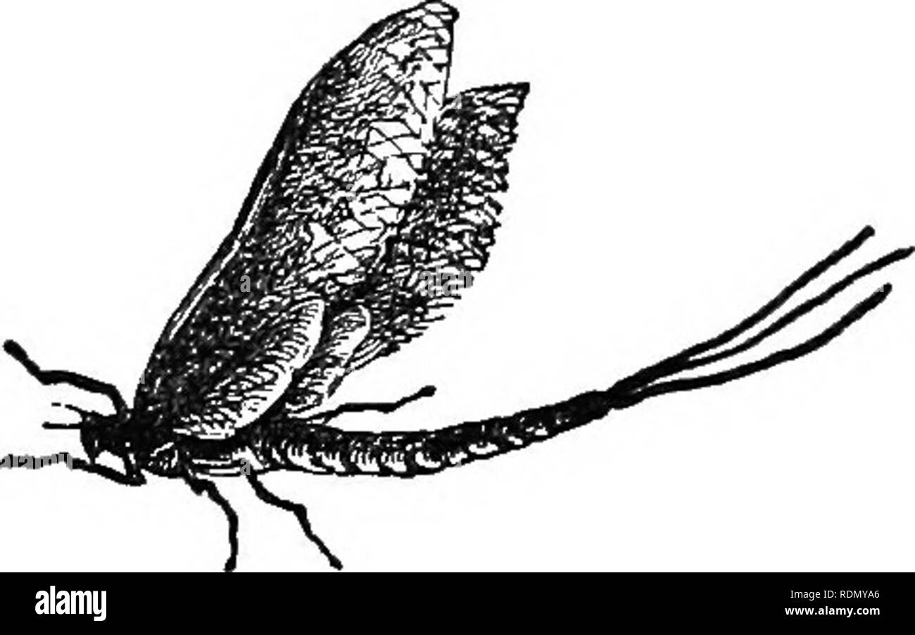 Weed And Guns Drawings