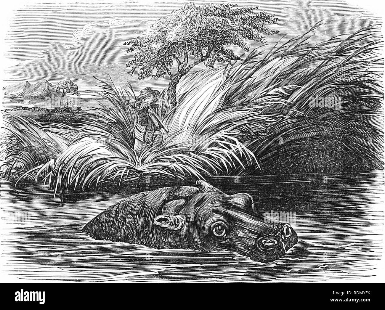 Hippopotamus hunters Black and White Stock Photos & Images - Alamy