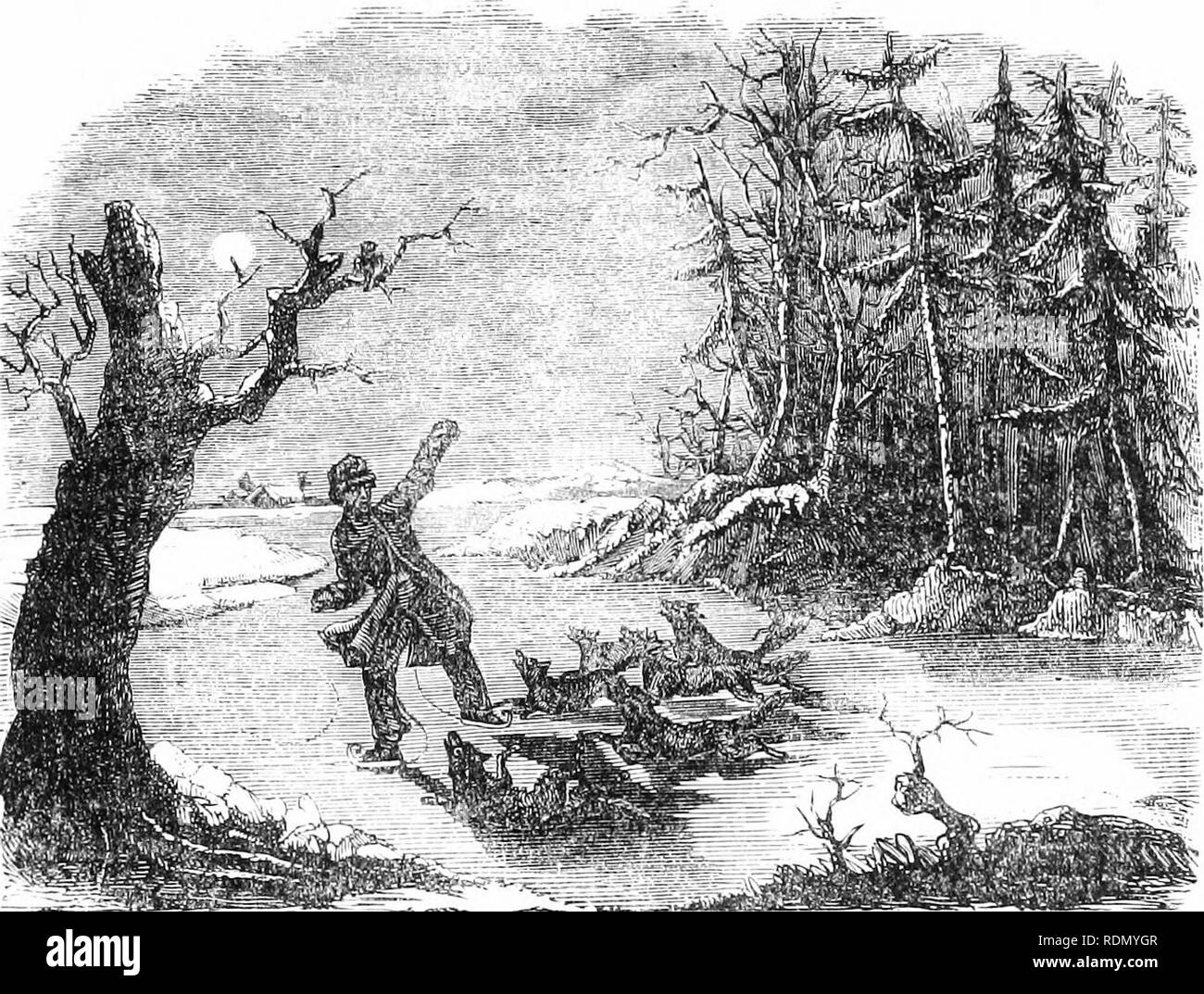 Being chased by wolves Black and White Stock Photos & Images - Alamy