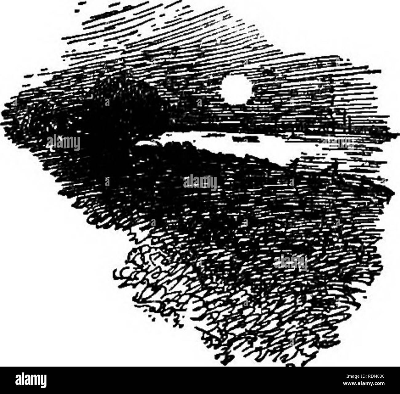 Elizabethan barn Cut Out Stock Images & Pictures - Alamy