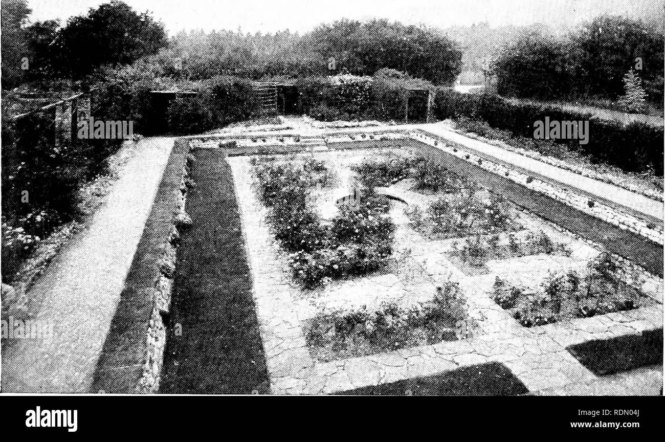 Four garden beds Black and White Stock Photos & Images - Alamy