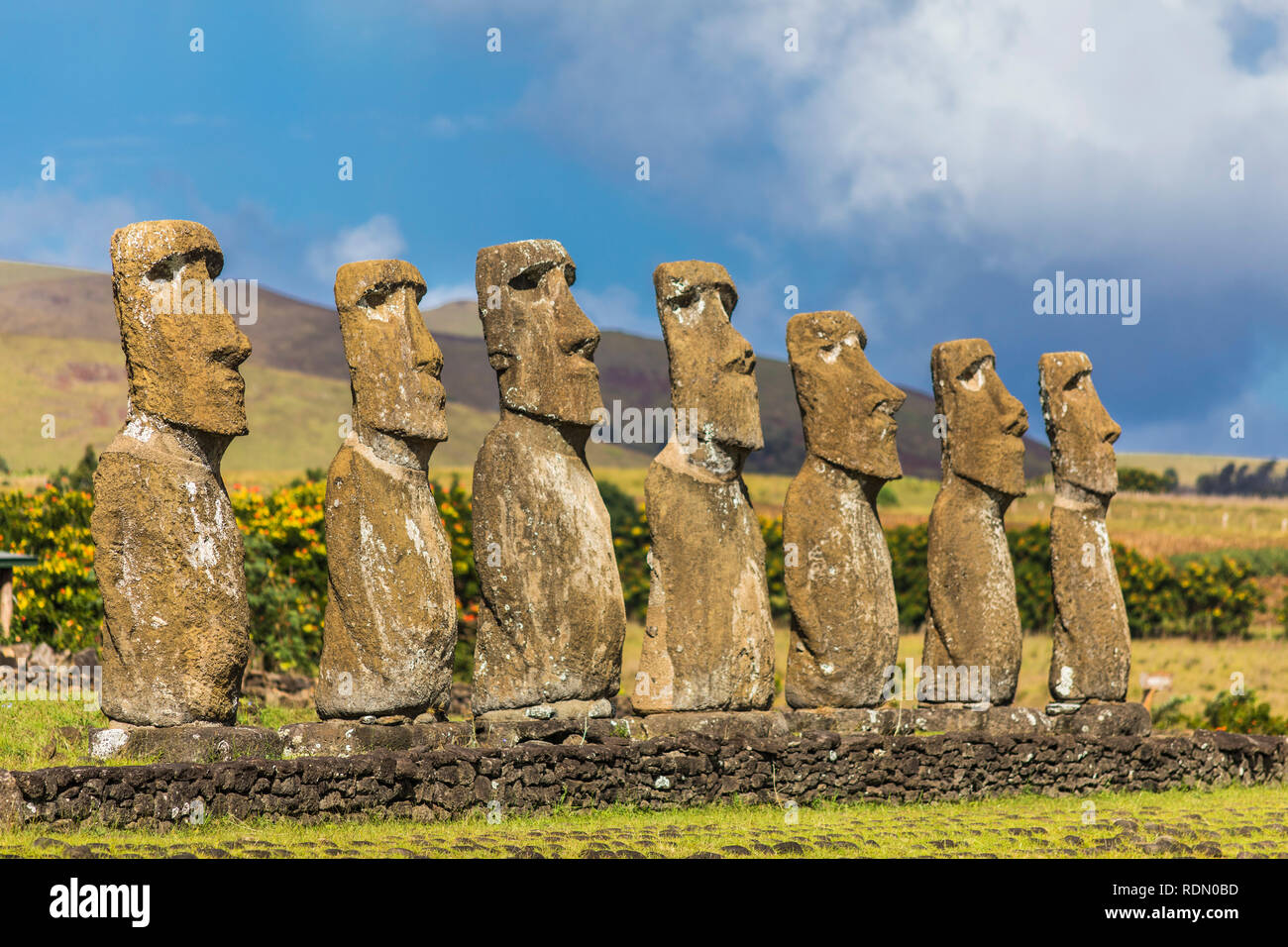 Ahu Akivi, the only Ahu platform on Easter Island looking to the ...