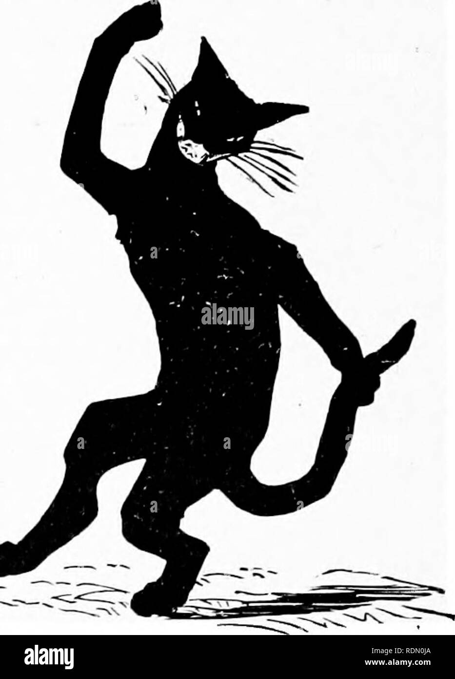 Scampered Black and White Stock Photos & Images - Alamy