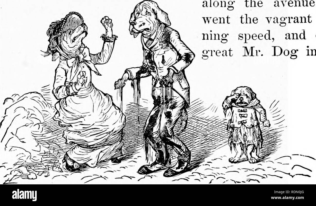 Scampered Black and White Stock Photos & Images - Alamy