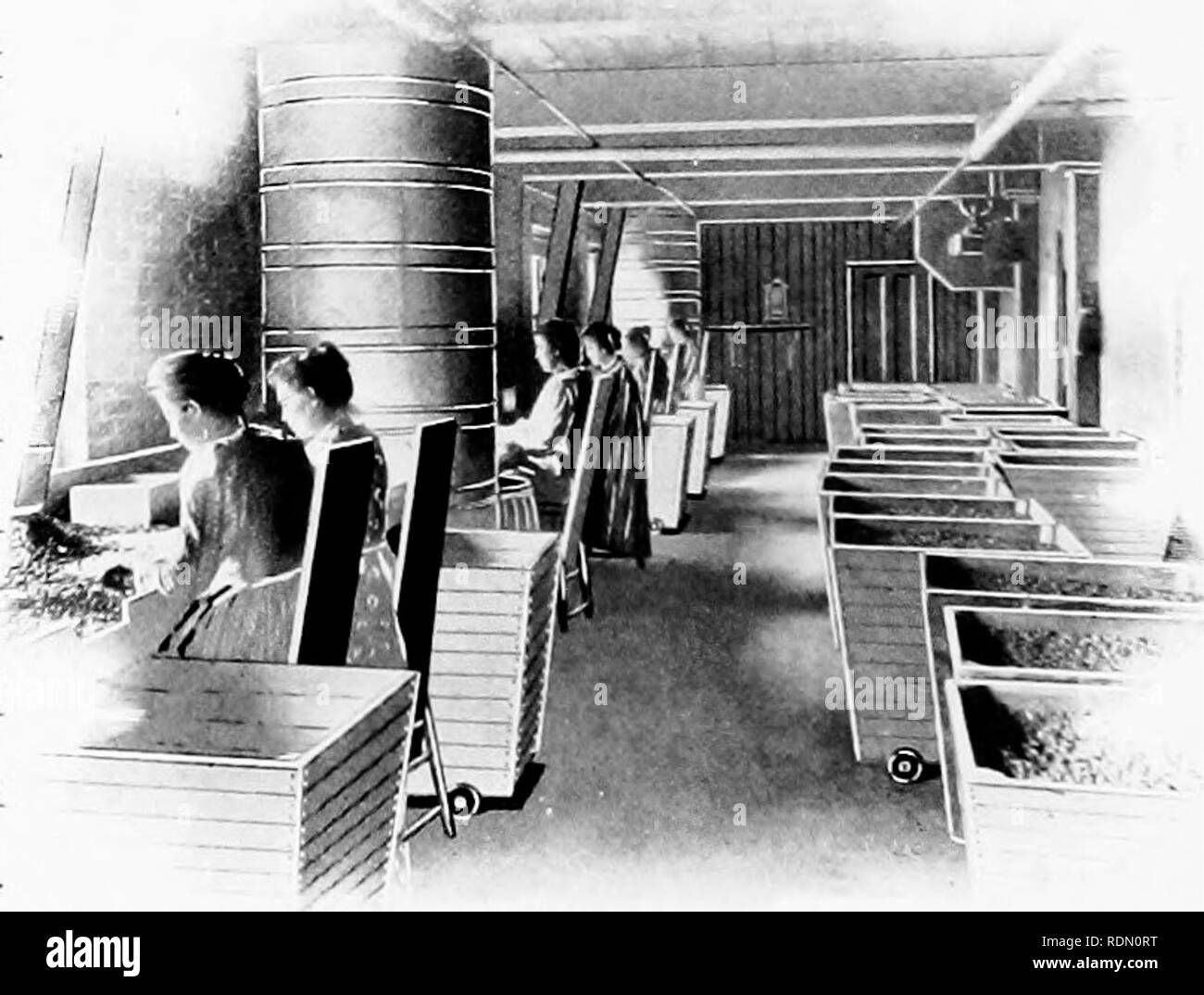 Cocoa source Black and White Stock Photos & Images - Alamy