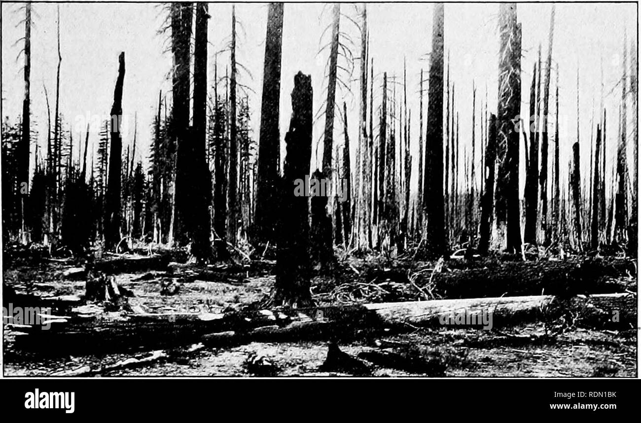 Whole mountain destroyed hi-res stock photography and images - Alamy