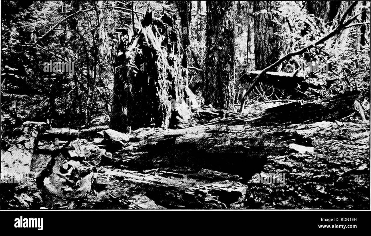 Decaying earth Black and White Stock Photos & Images - Alamy