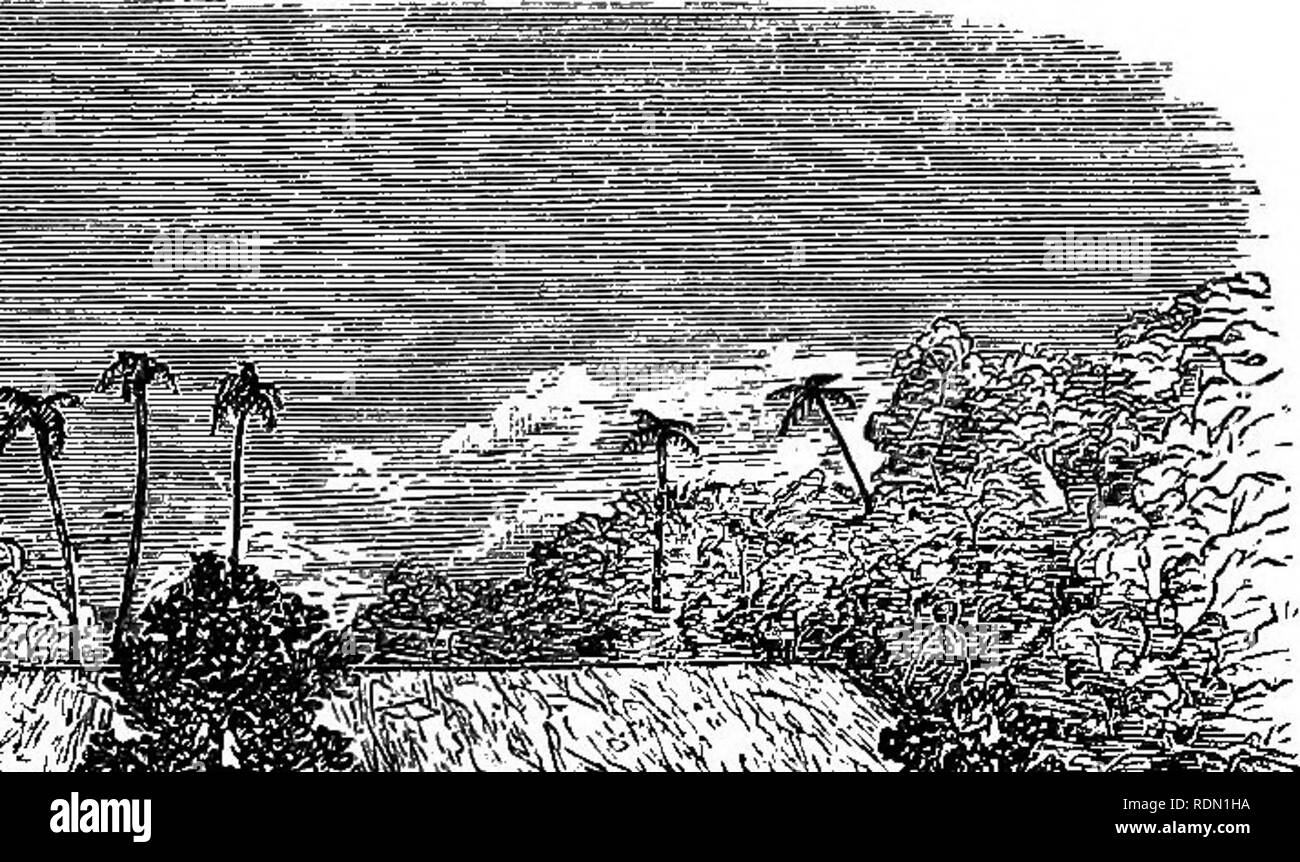 New hebrides missionary Black and White Stock Photos & Images - Alamy