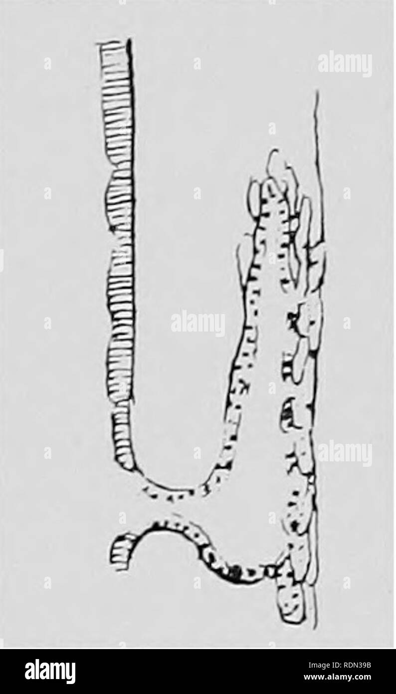 Travers reservoir Black and White Stock Photos & Images - Alamy