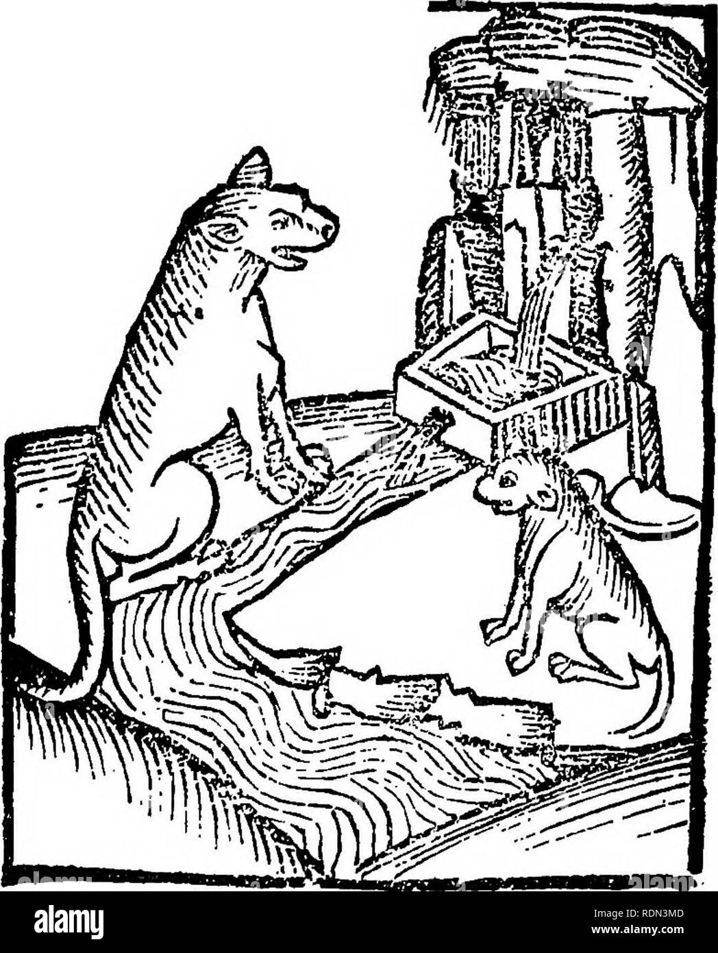 The Cat Who Knew Shakespeare