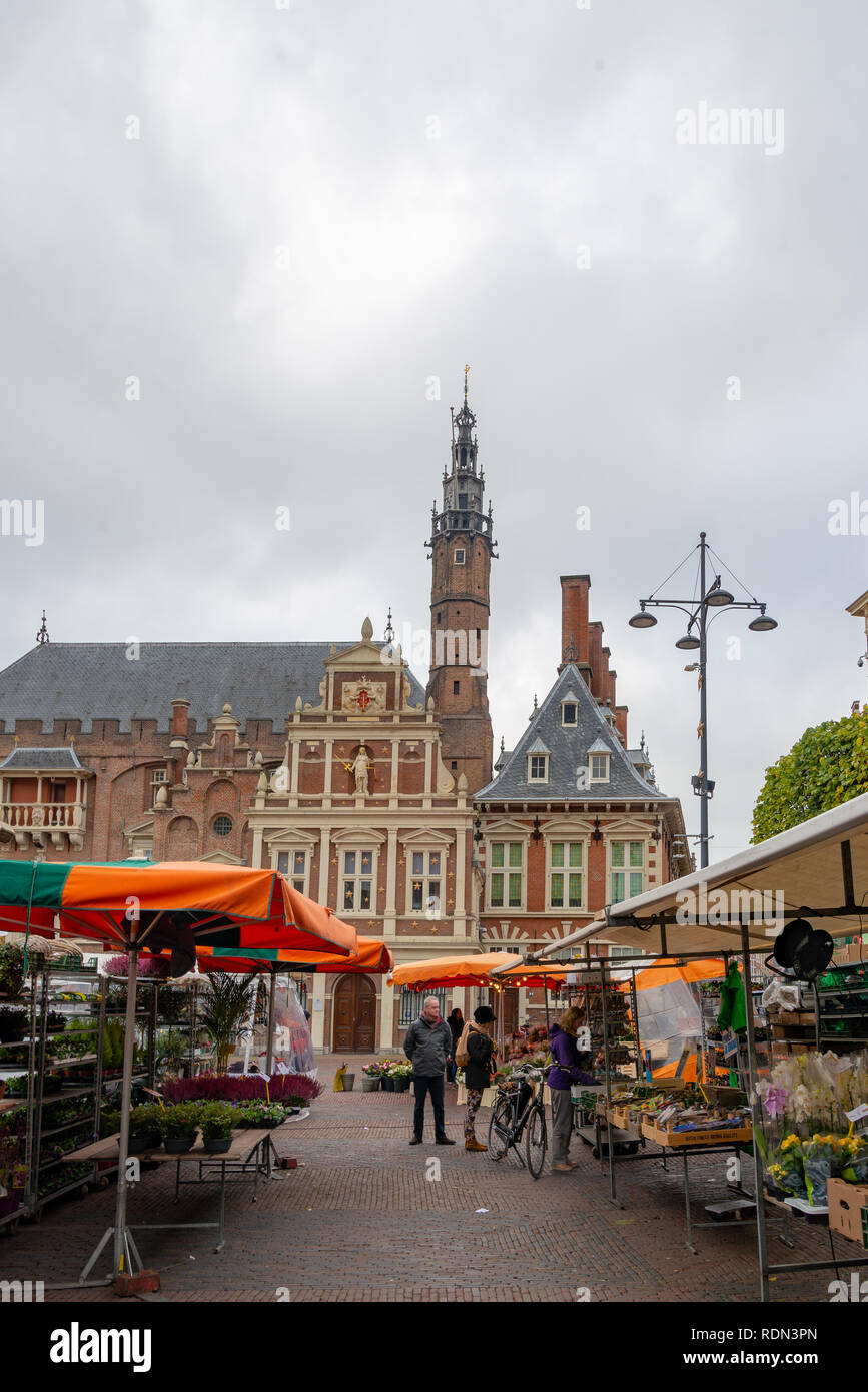 Haarlem city hall hi-res stock photography and images - Alamy