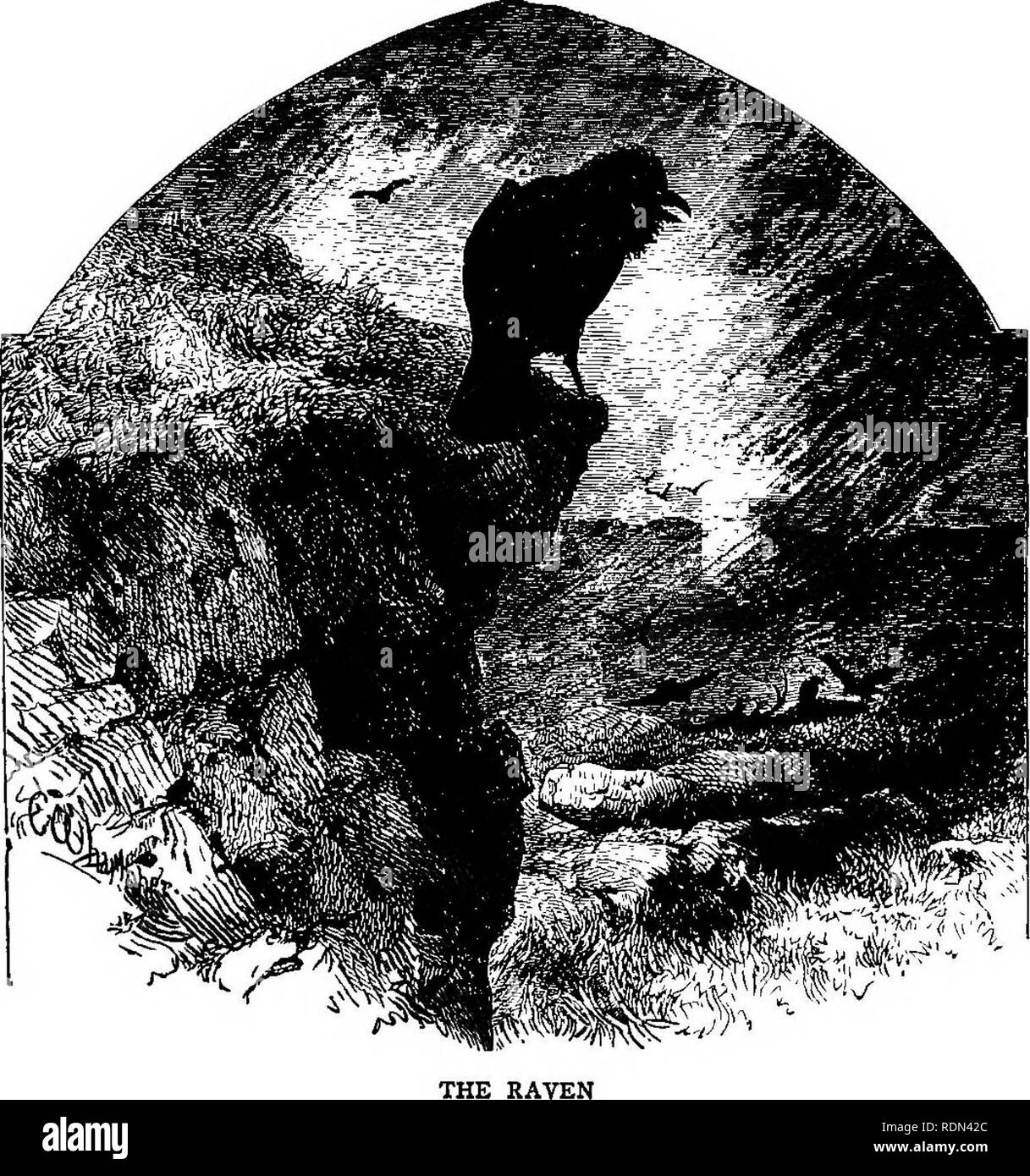 Hasty sketches Black and White Stock Photos & Images - Alamy