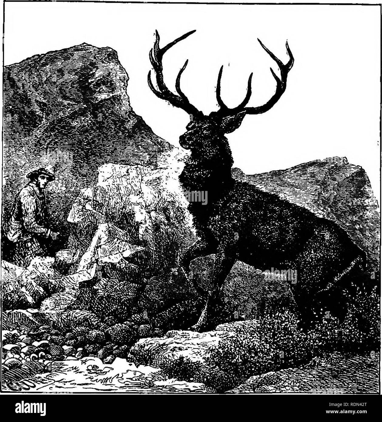 Stag do men Black and White Stock Photos & Images - Alamy