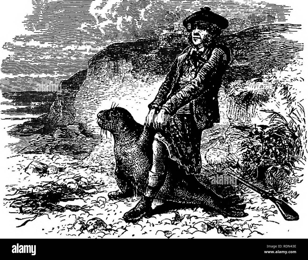 Seal catching fish Black and White Stock Photos & Images - Alamy