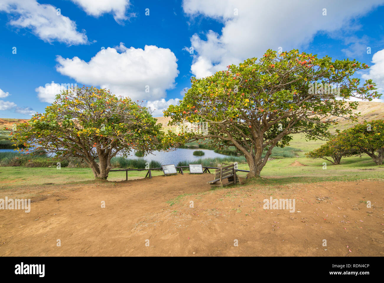 Rano Raraku Crater Volcano, just a view over the crater lake, an ...