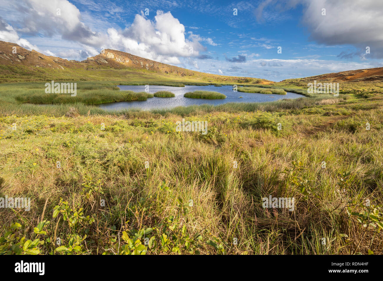Rano Raraku Crater Volcano, just a view over the crater lake, an ...