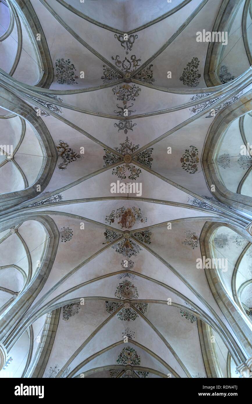 Gothic painted ceiling hi-res stock photography and images - Alamy