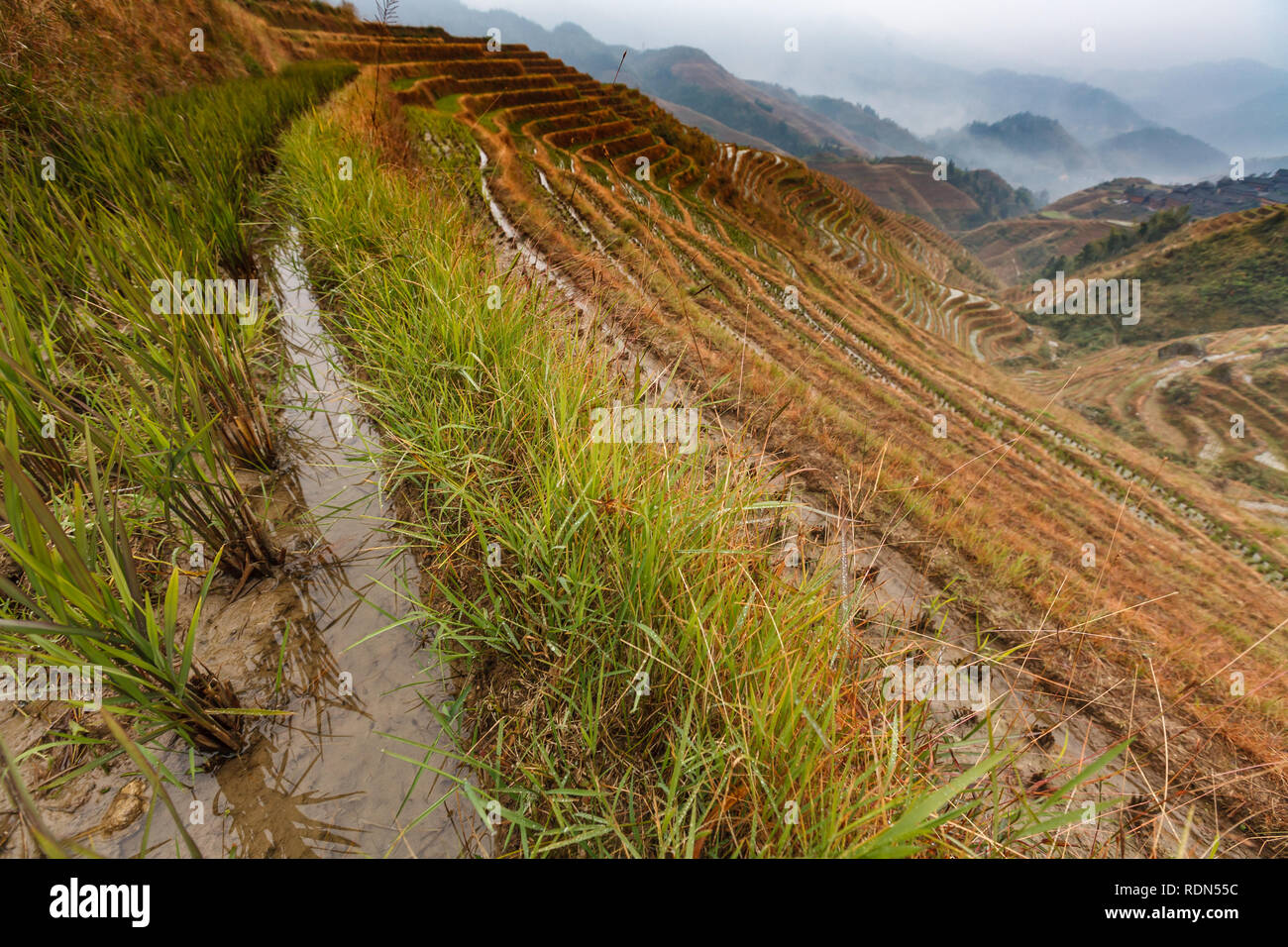 Closeup of flooded rice terraces on the steep mountain slopes of ...