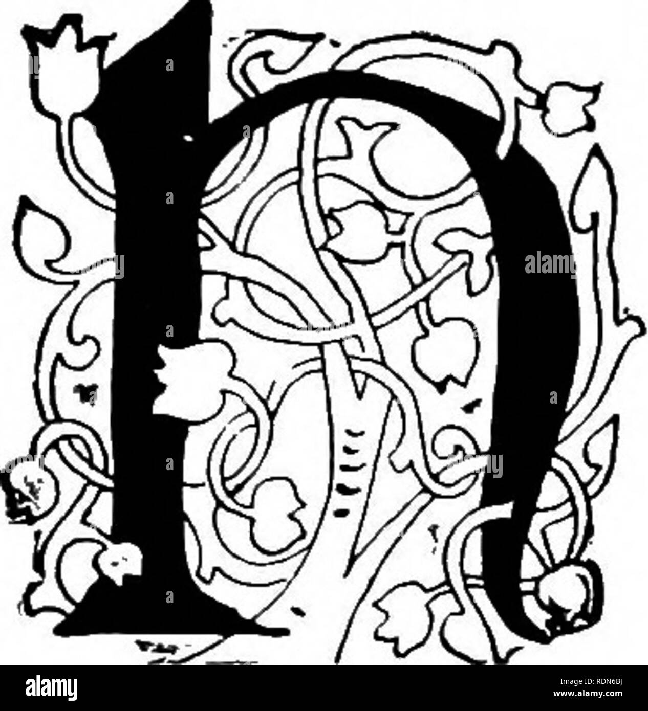 Planting procedure hi-res stock photography and images - Alamy