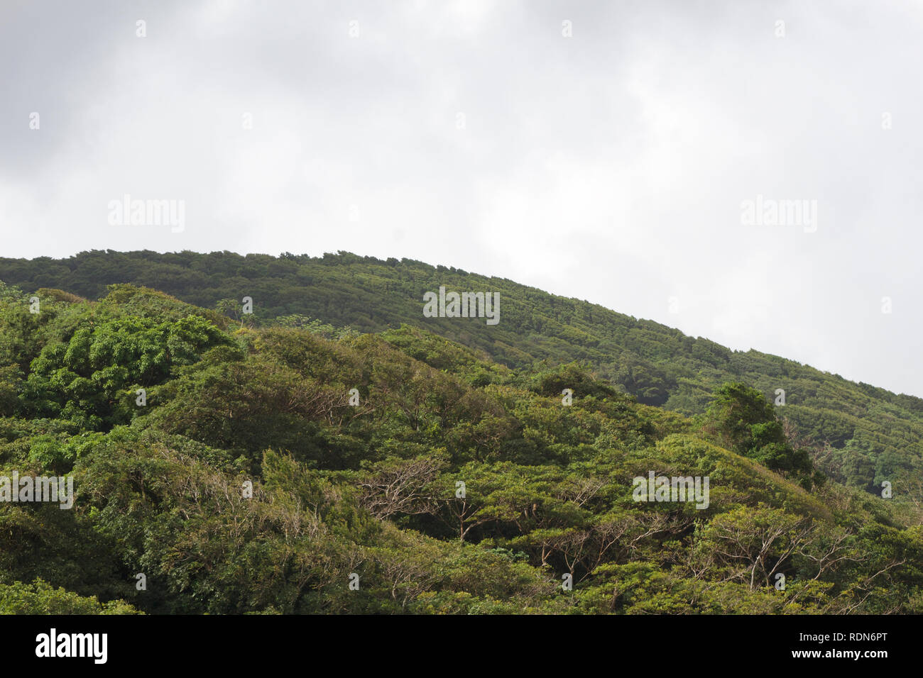 Side view outdoor hi-res stock photography and images - Alamy