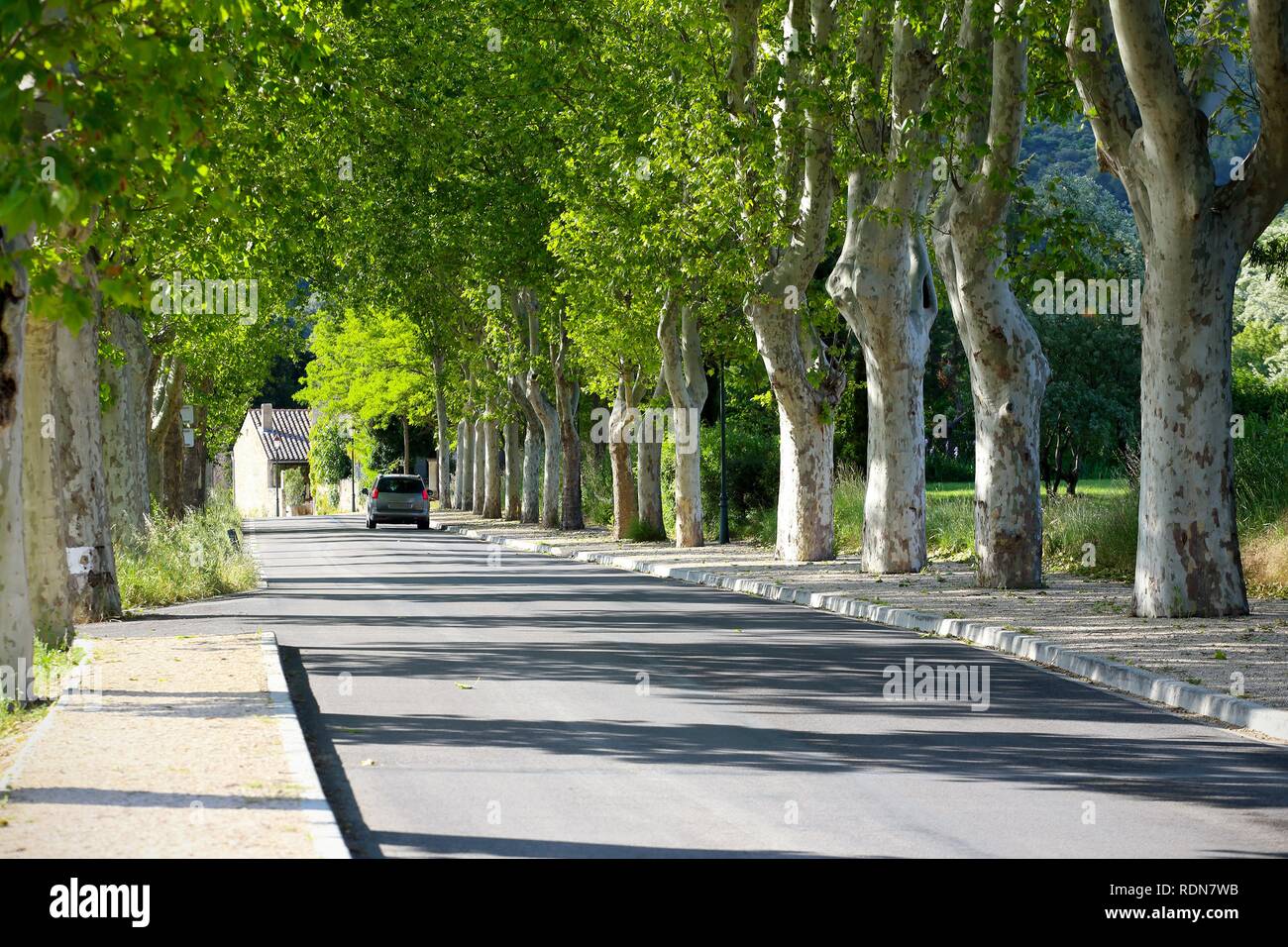 road at the provence, france Stock Photo - Alamy