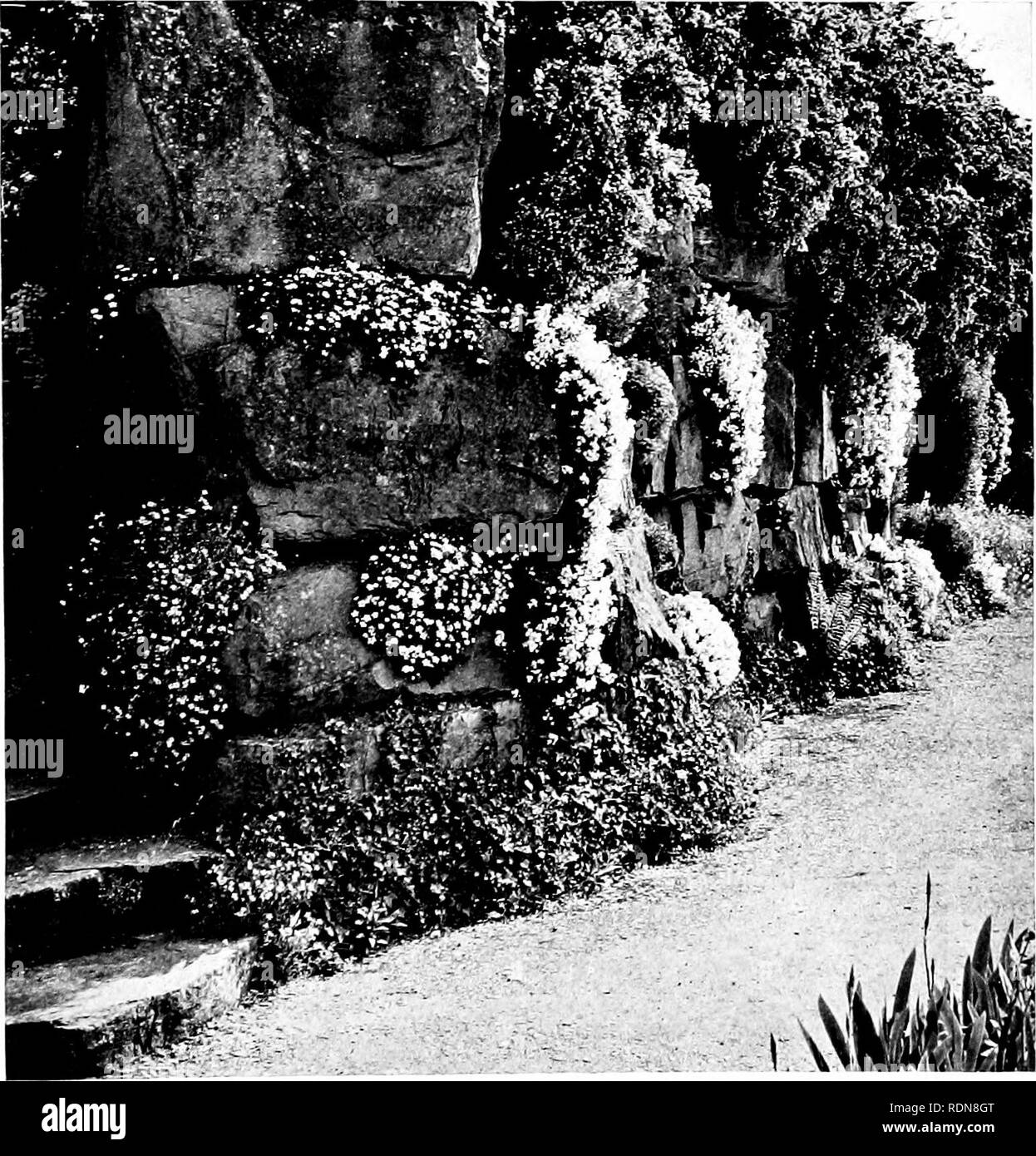 Unhewn wall Black and White Stock Photos & Images - Alamy