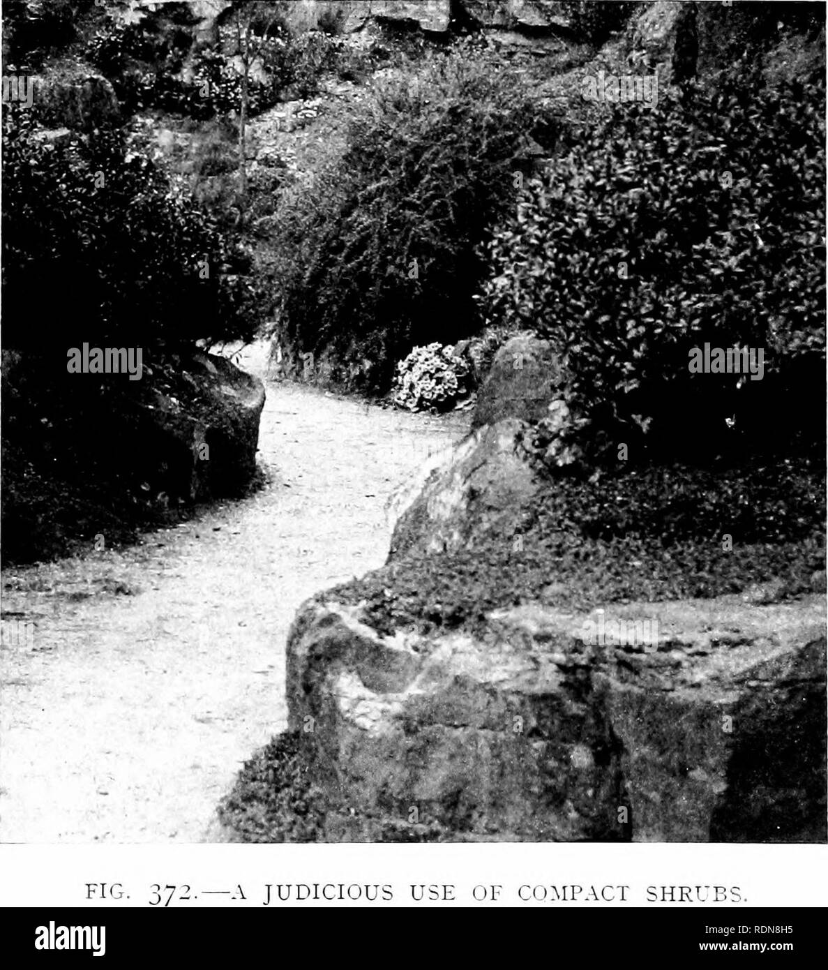 Alpine planting Black and White Stock Photos & Images - Alamy