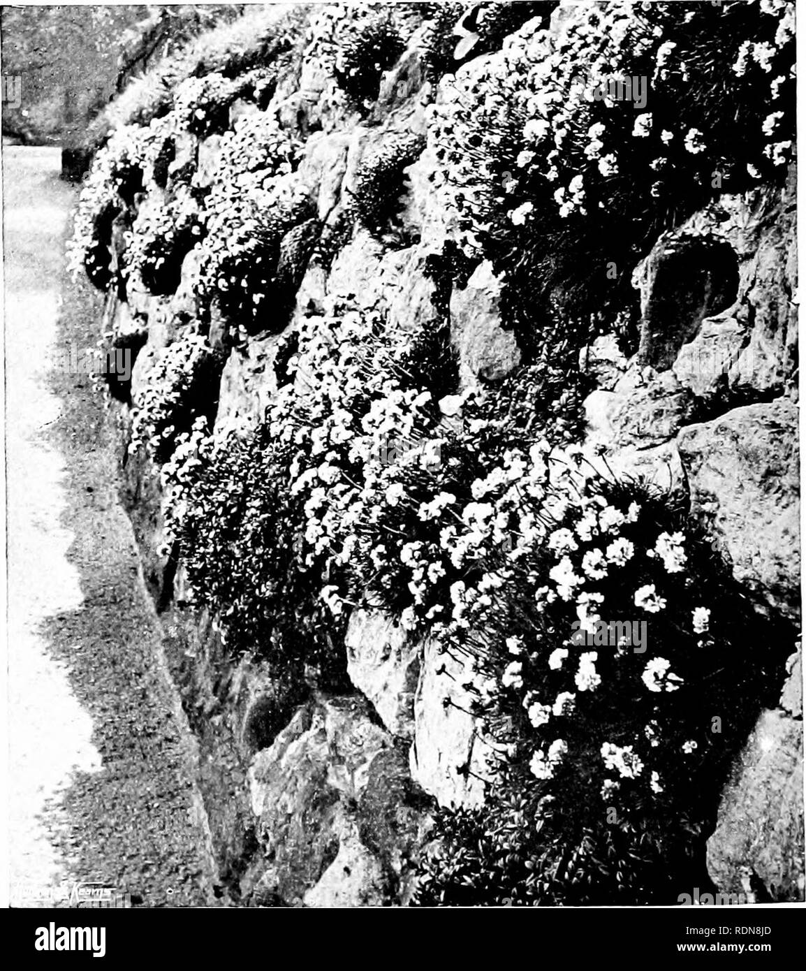 Porous spaces Black and White Stock Photos & Images - Alamy