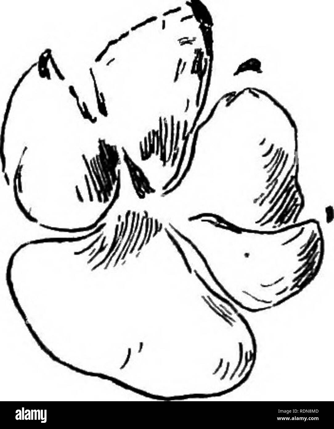 Half Pretty Half Ugly Clipart