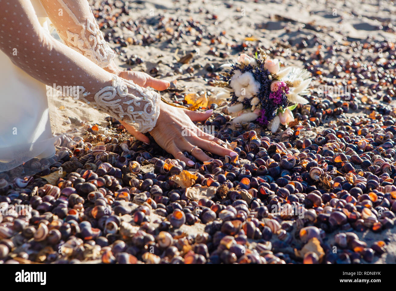 Close up hands of a bride playing with snail shells on the beach Stock ...