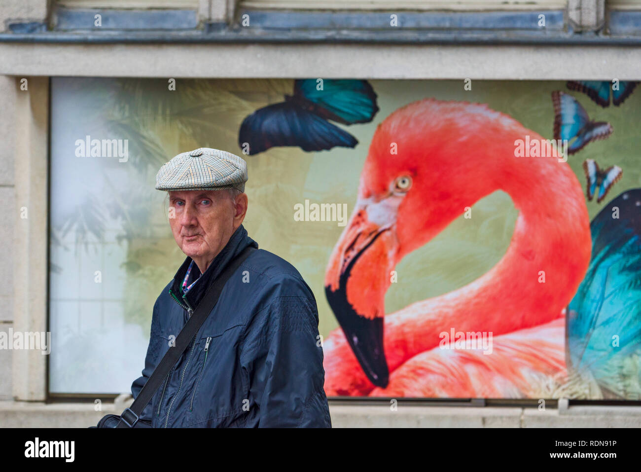 Inside of zoo hi-res stock photography and images - Alamy