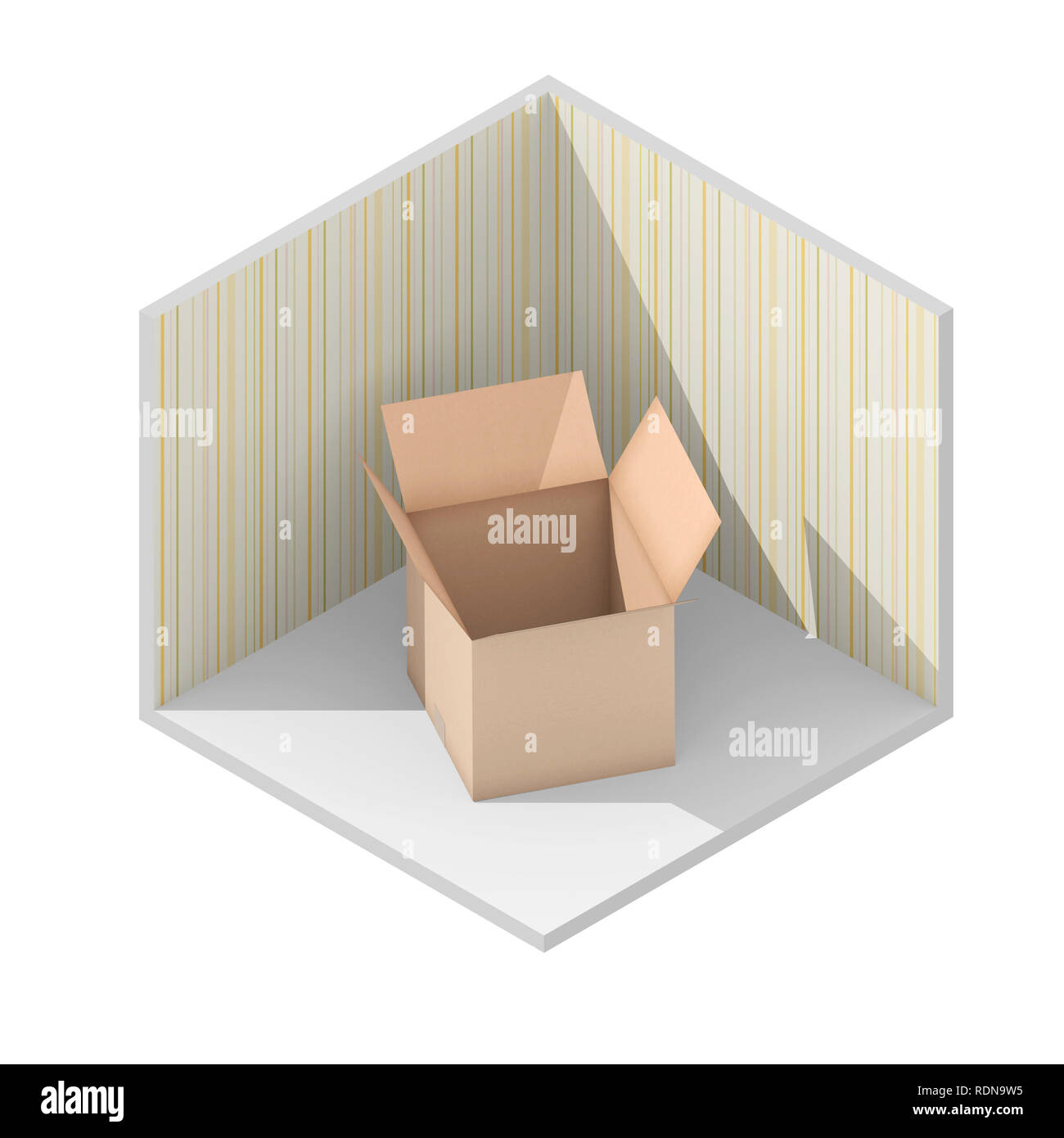 3d isometric rendering illustration of cardboard opened box in empty ...