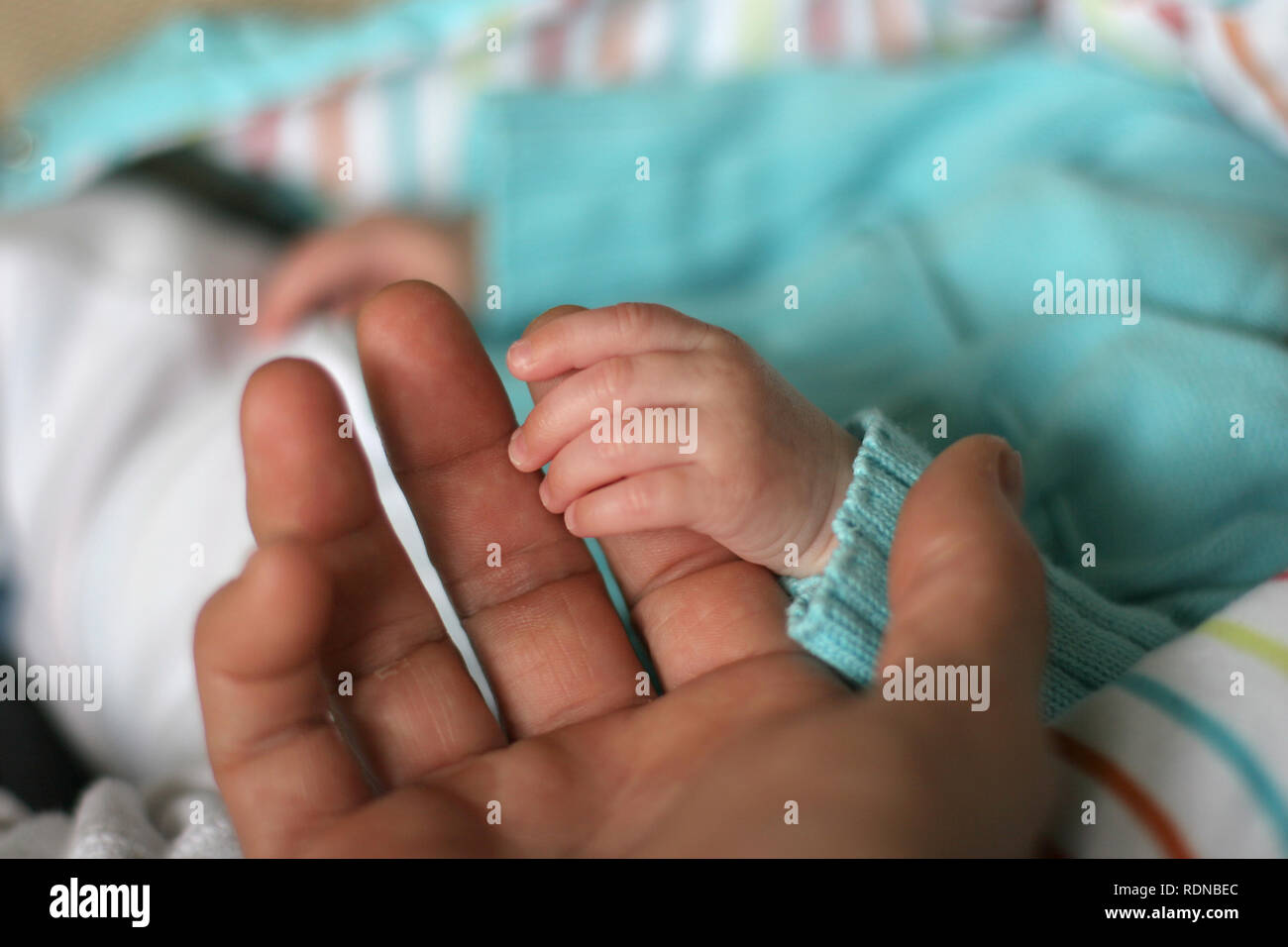 baby hands with father Stock Photo - Alamy